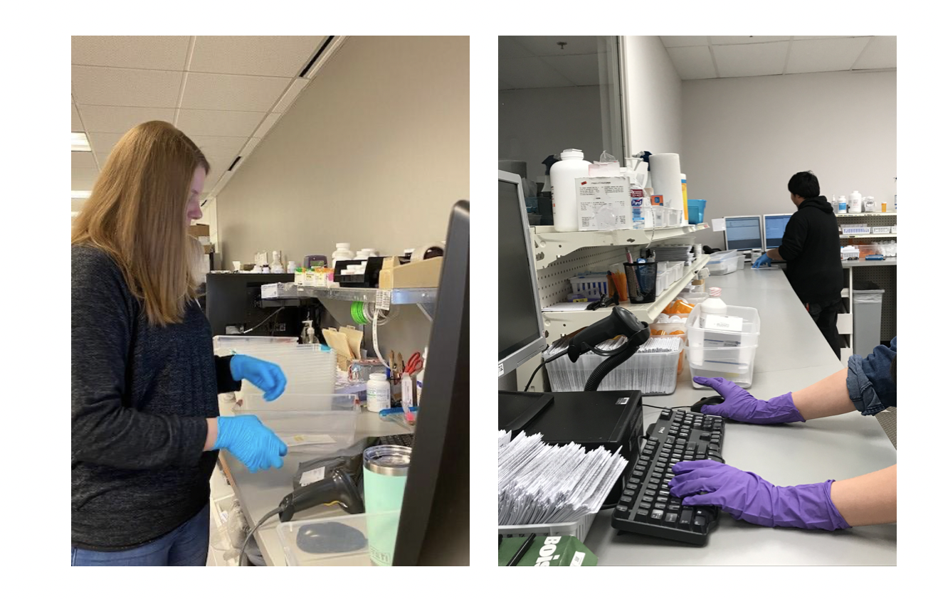 Our investment in our infrastructure has been especially valuable ...